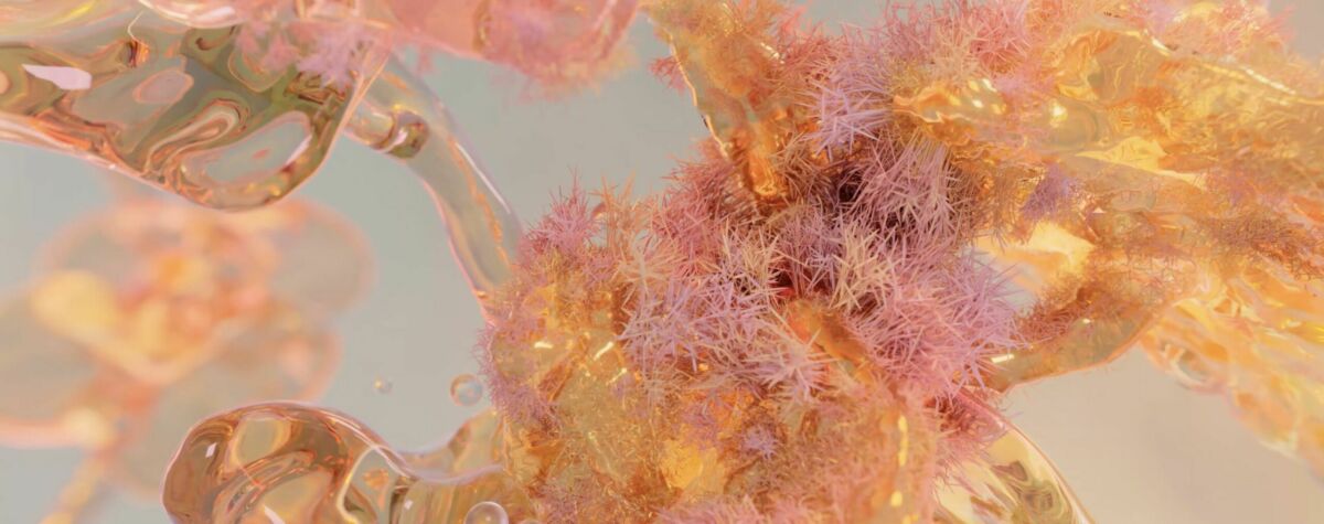 Spring 22 Campaign - 2001