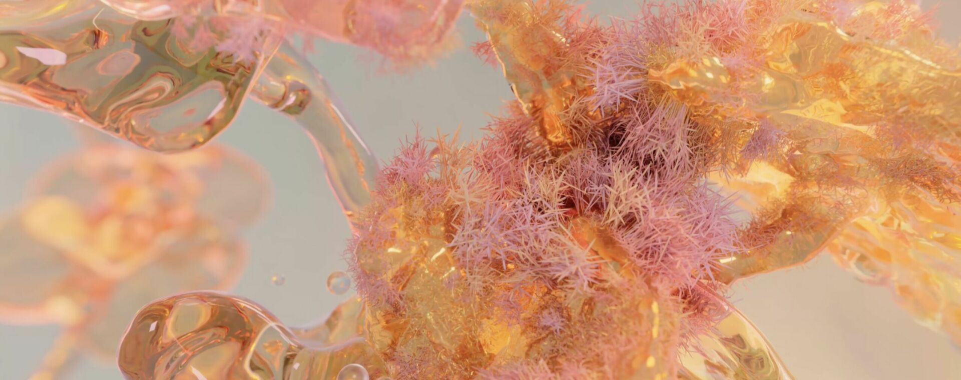 Spring 22 Campaign - 2001